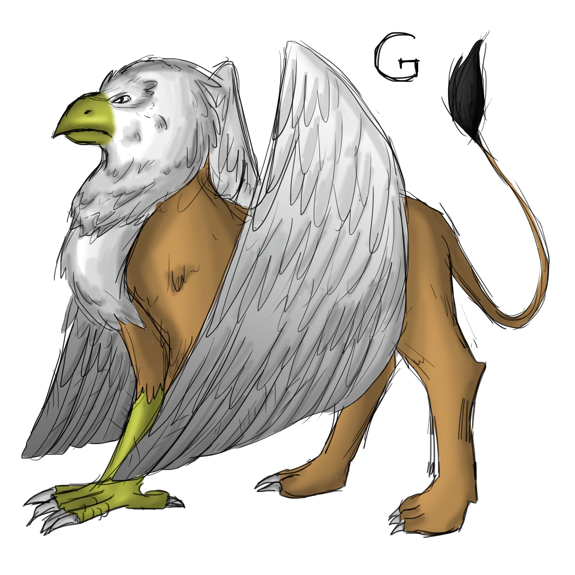 ArtStation - Griffin / Gryphon / Gryffin