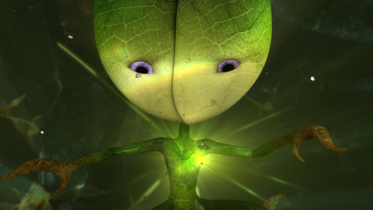 Dieter Coetzee - Burgeon