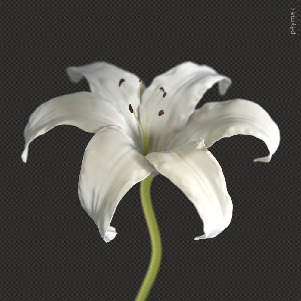 ArtStation - Little present