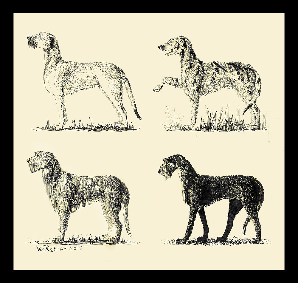 ArtStation - IW colors