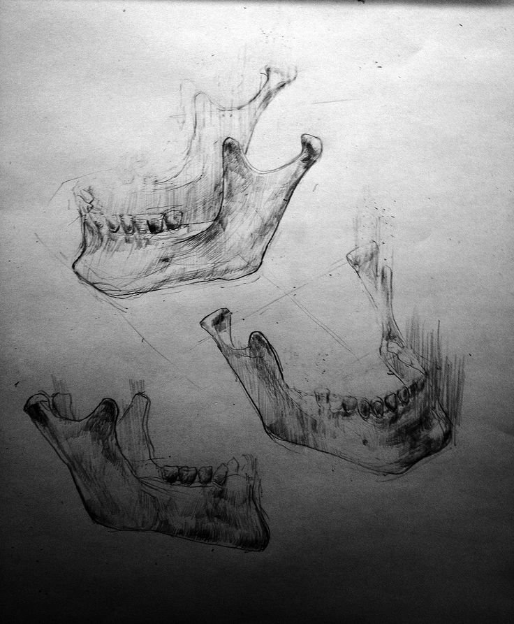 ArtStation - traditional draw