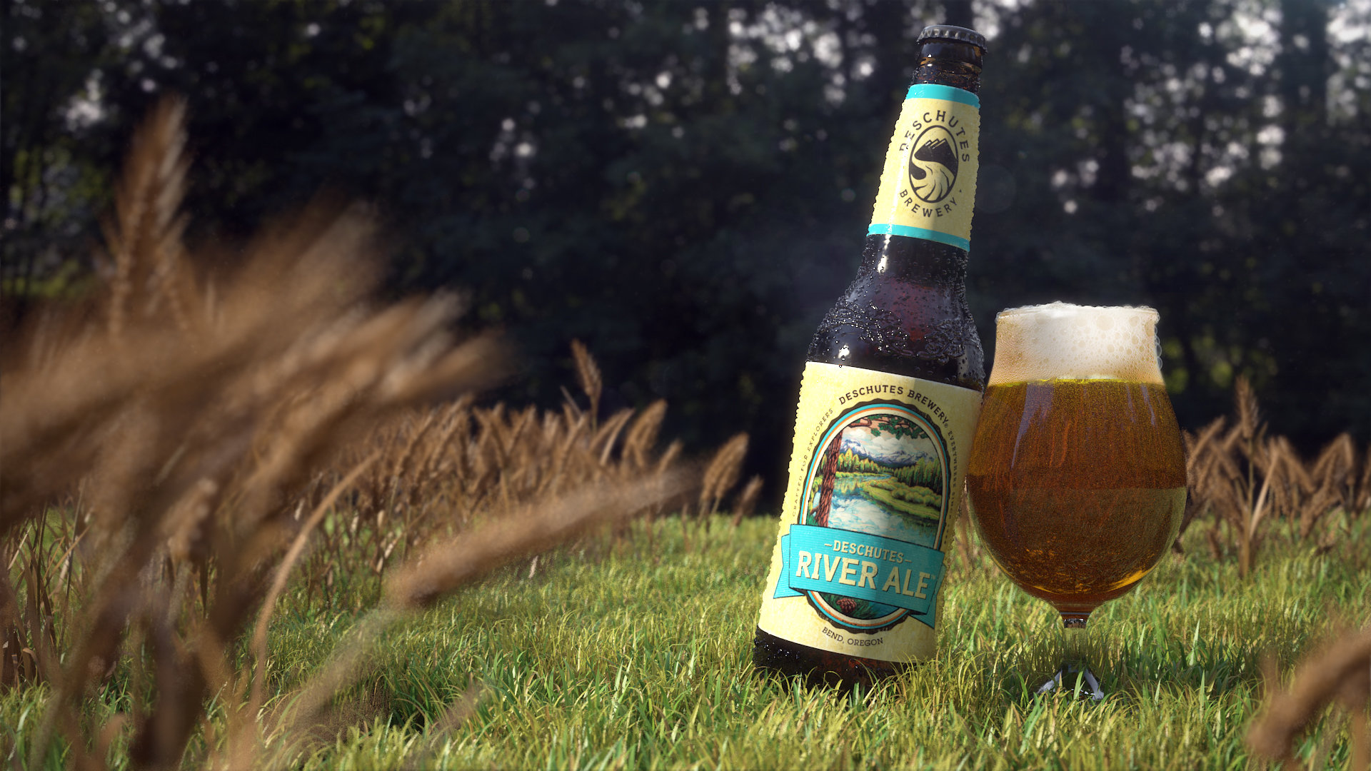 ArtStation - Beer Packshot Fan Art