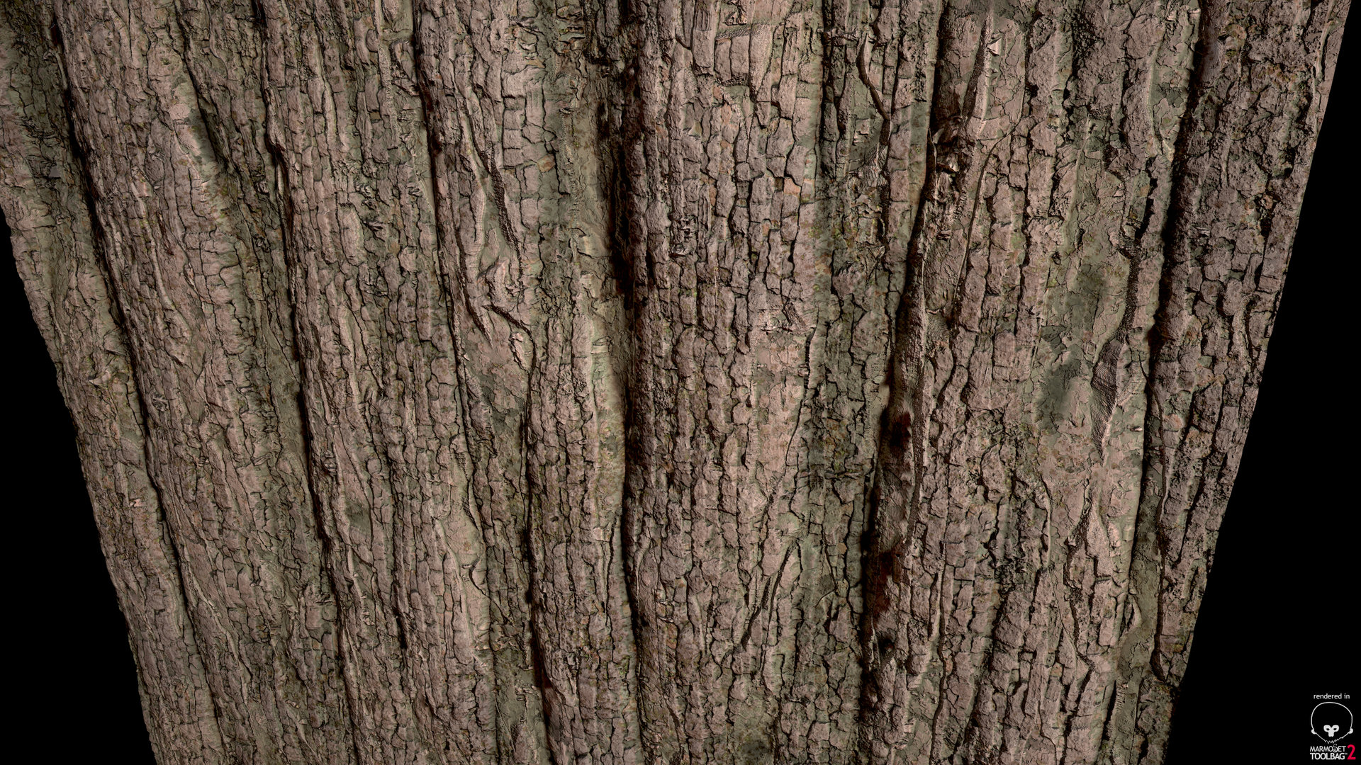 Sebastian Schade - Substance - Tree Bark 1