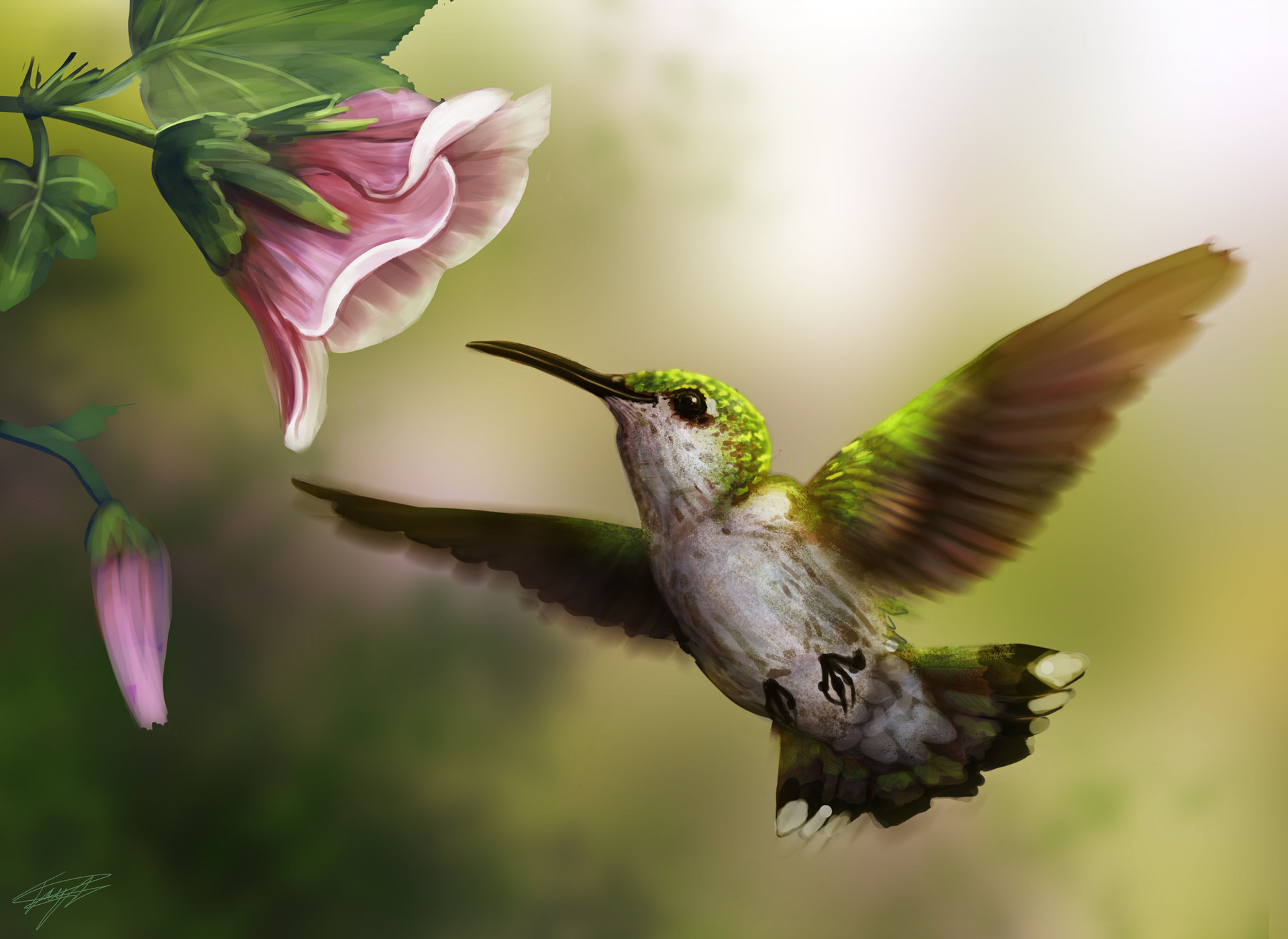 ArtStation - Hummingbird