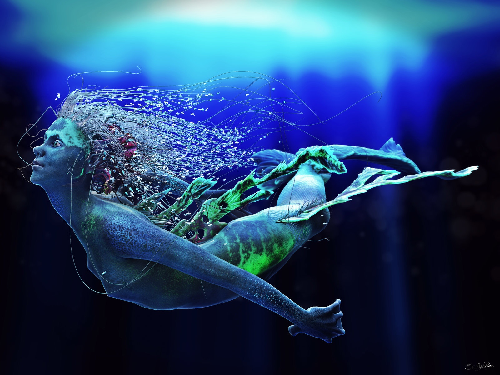 Samuel Wilbur - Mermaid