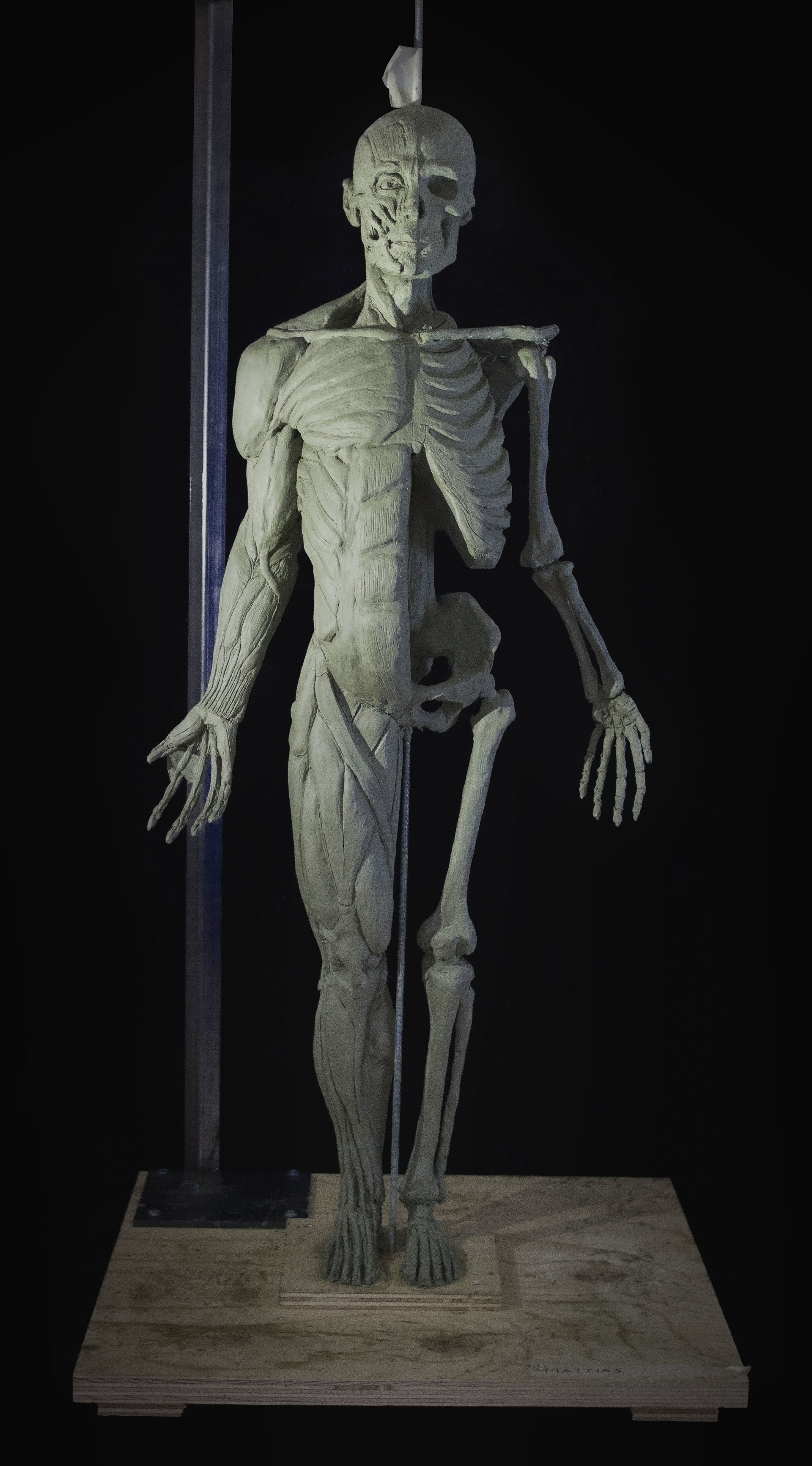 ArtStation - Écorché