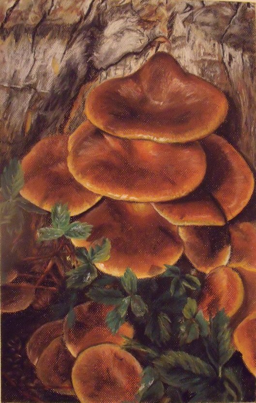 ArtStation - Mushrooms