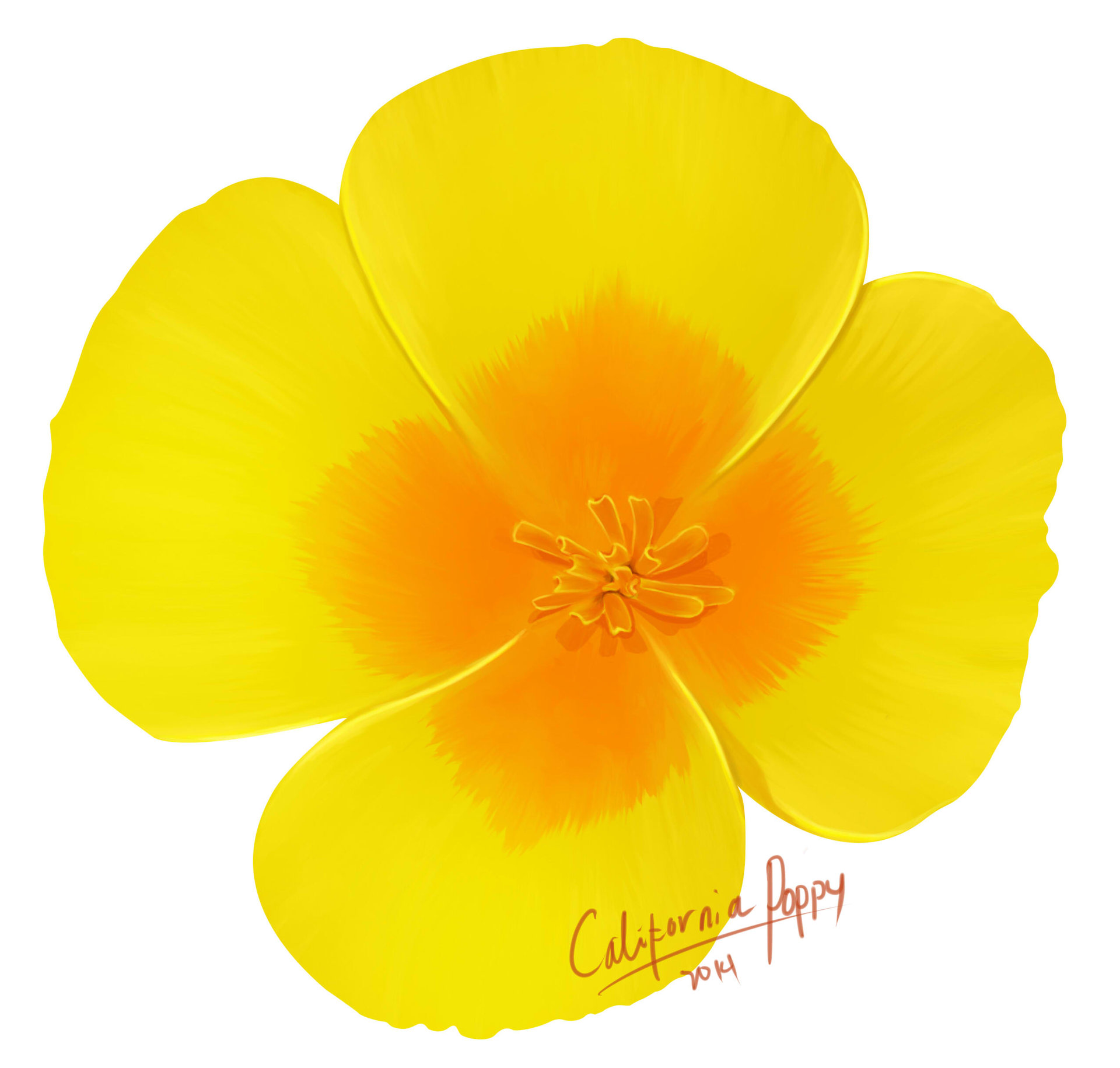 Nikki Lee Jose - California Poppy