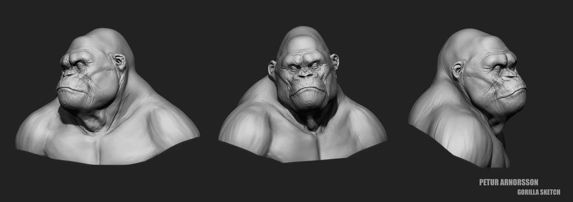 ArtStation - Gorilla sketch