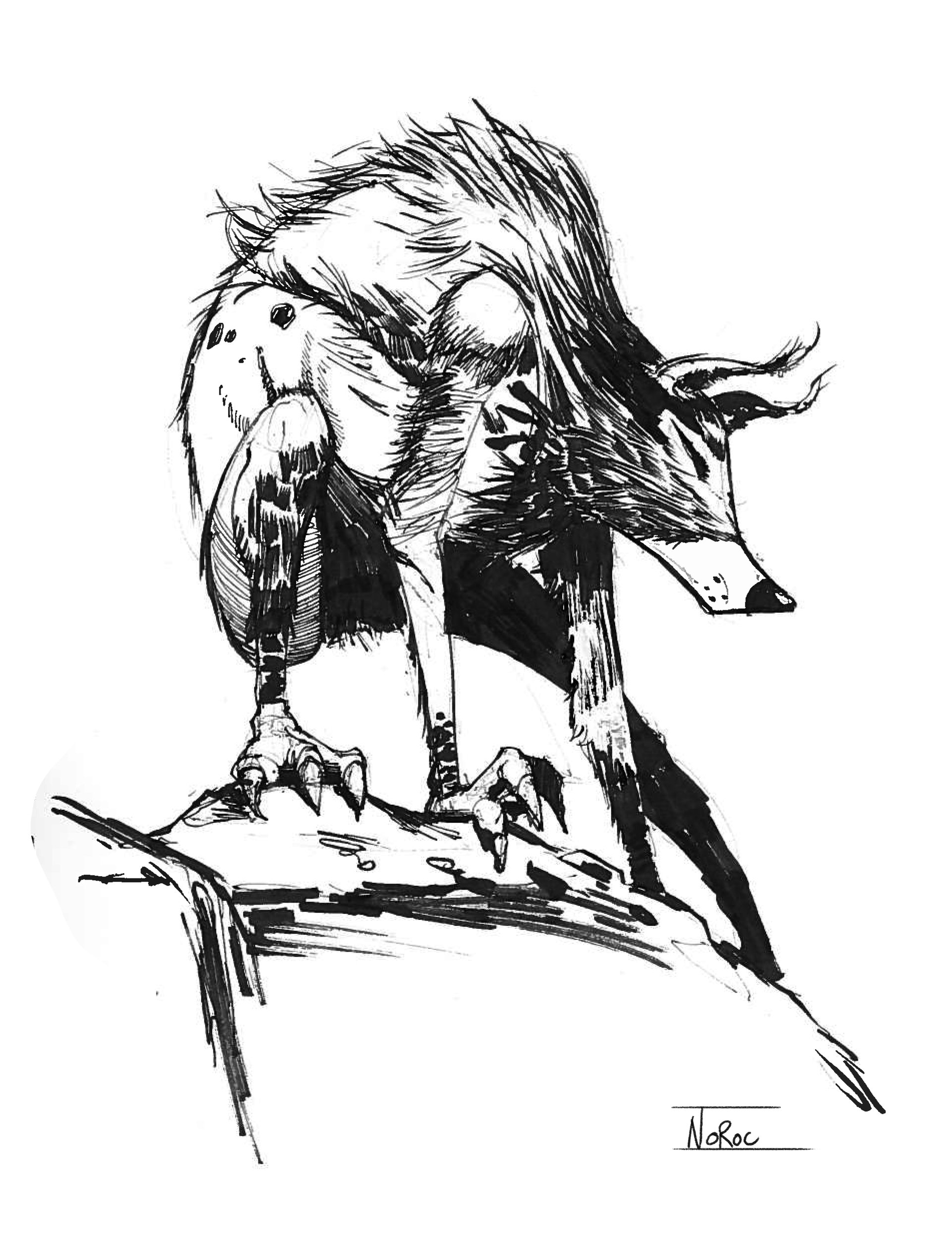 Nicolas Oroc - Child of Light