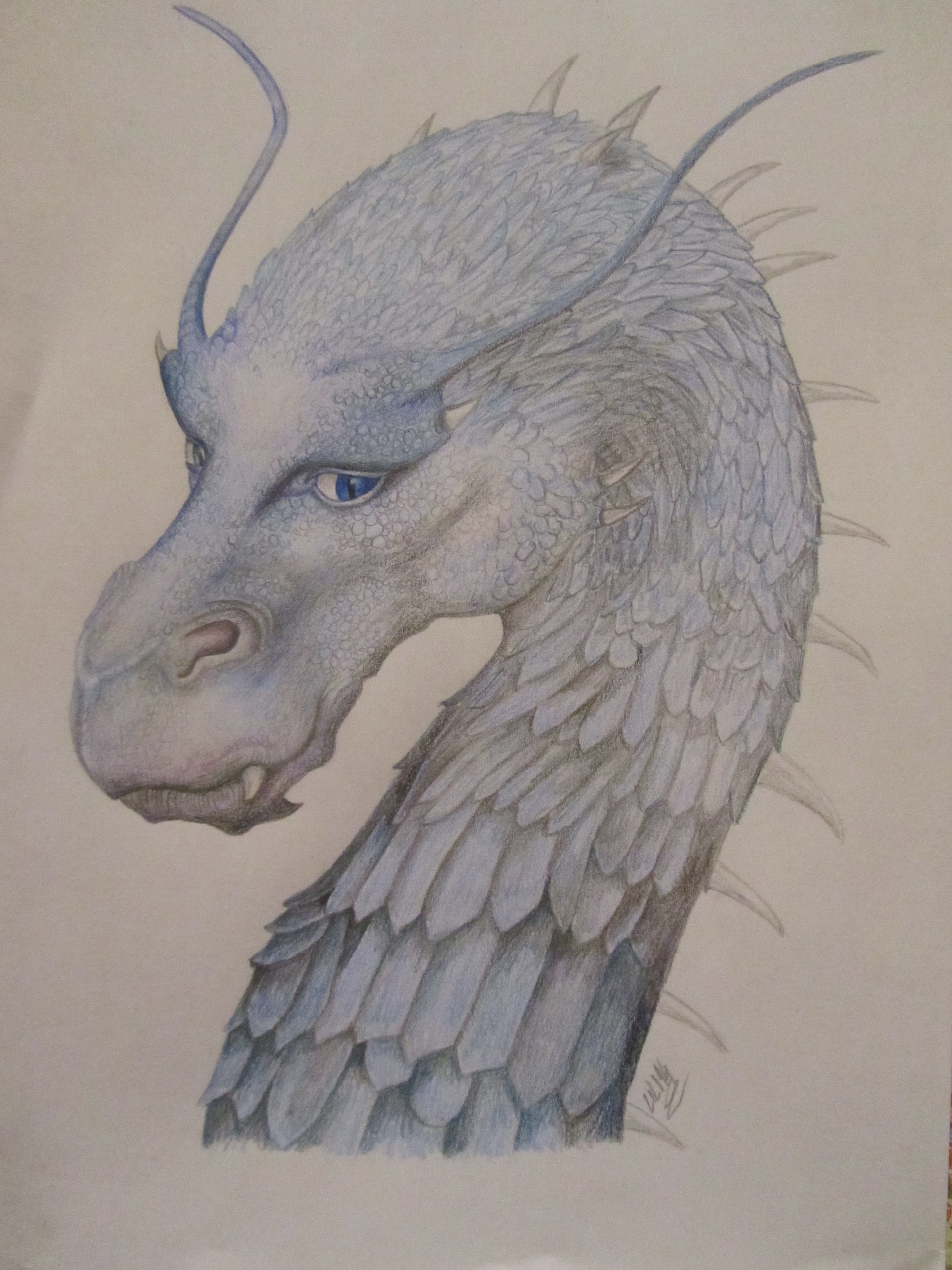 Saphira Dragon Drawing