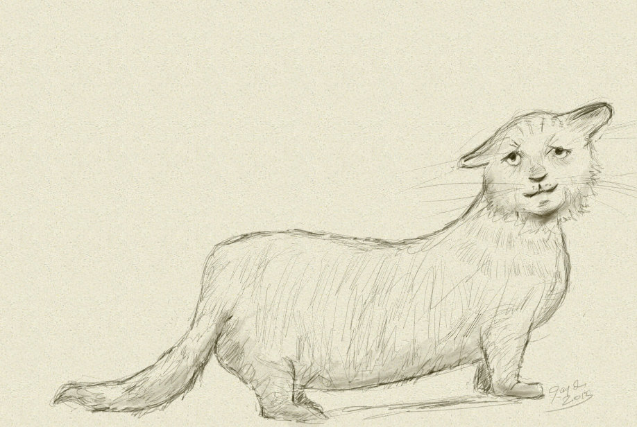 how to draw a munchkin cat