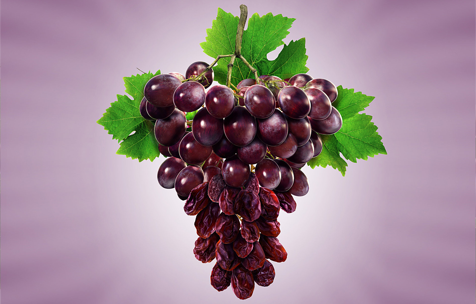 ArtStation - Onodera fruits