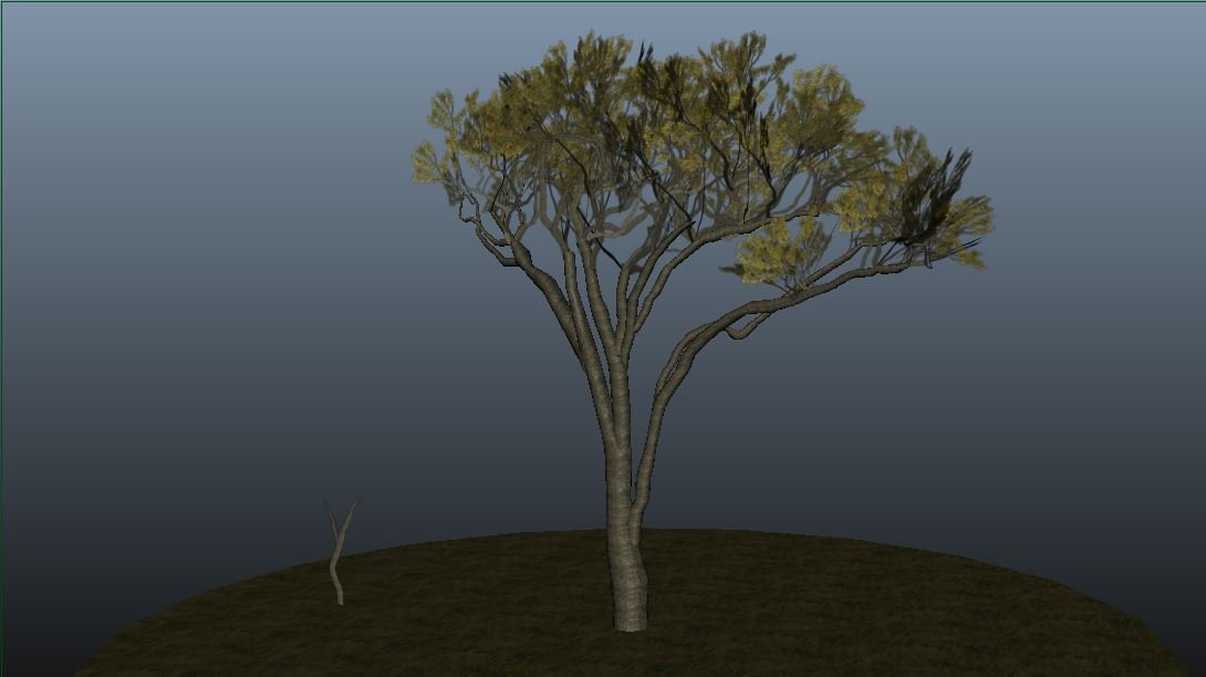 ArtStation - Jackal berry Tree