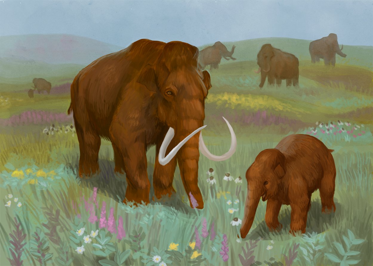 ArtStation - Mammoth Steppe