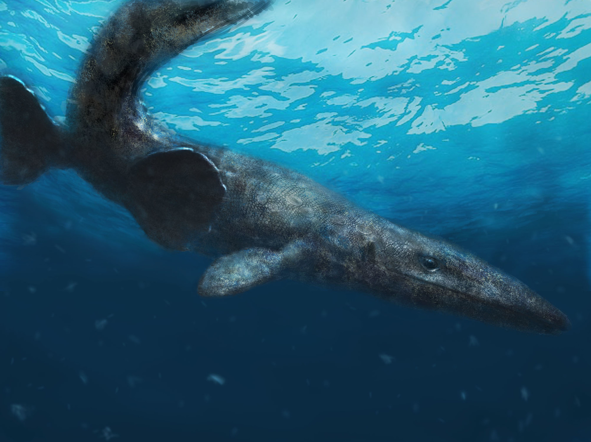 ArtStation - Mosasaur