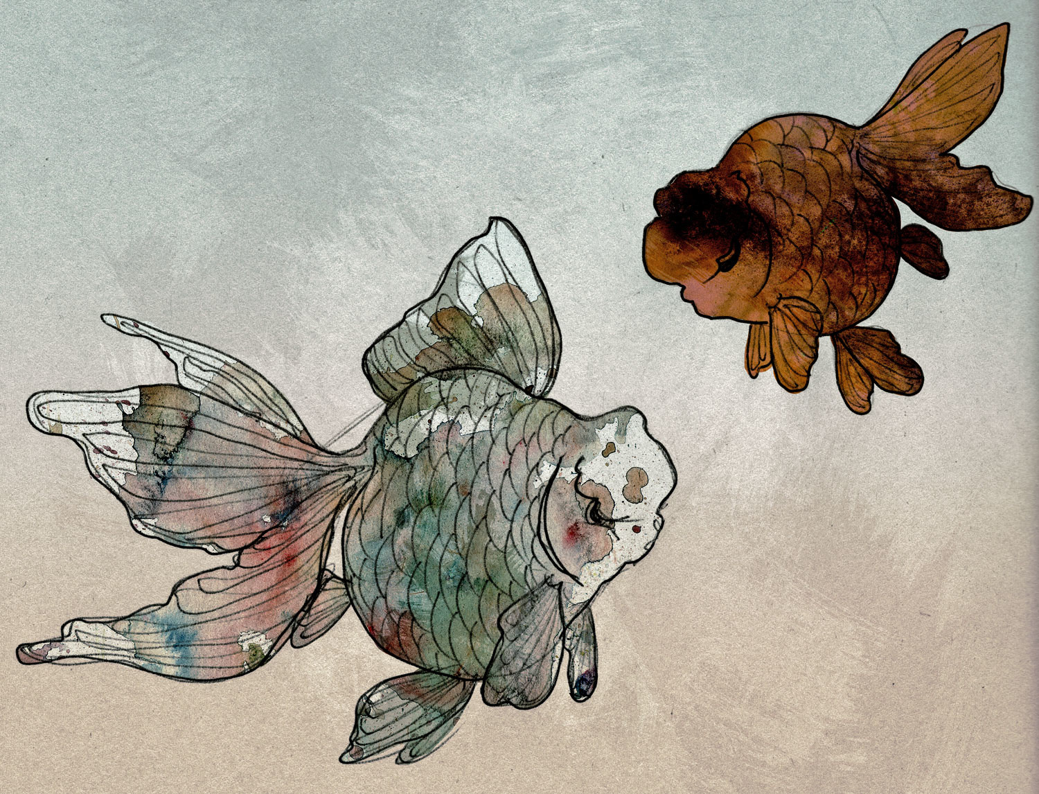 fancy goldfish drawing