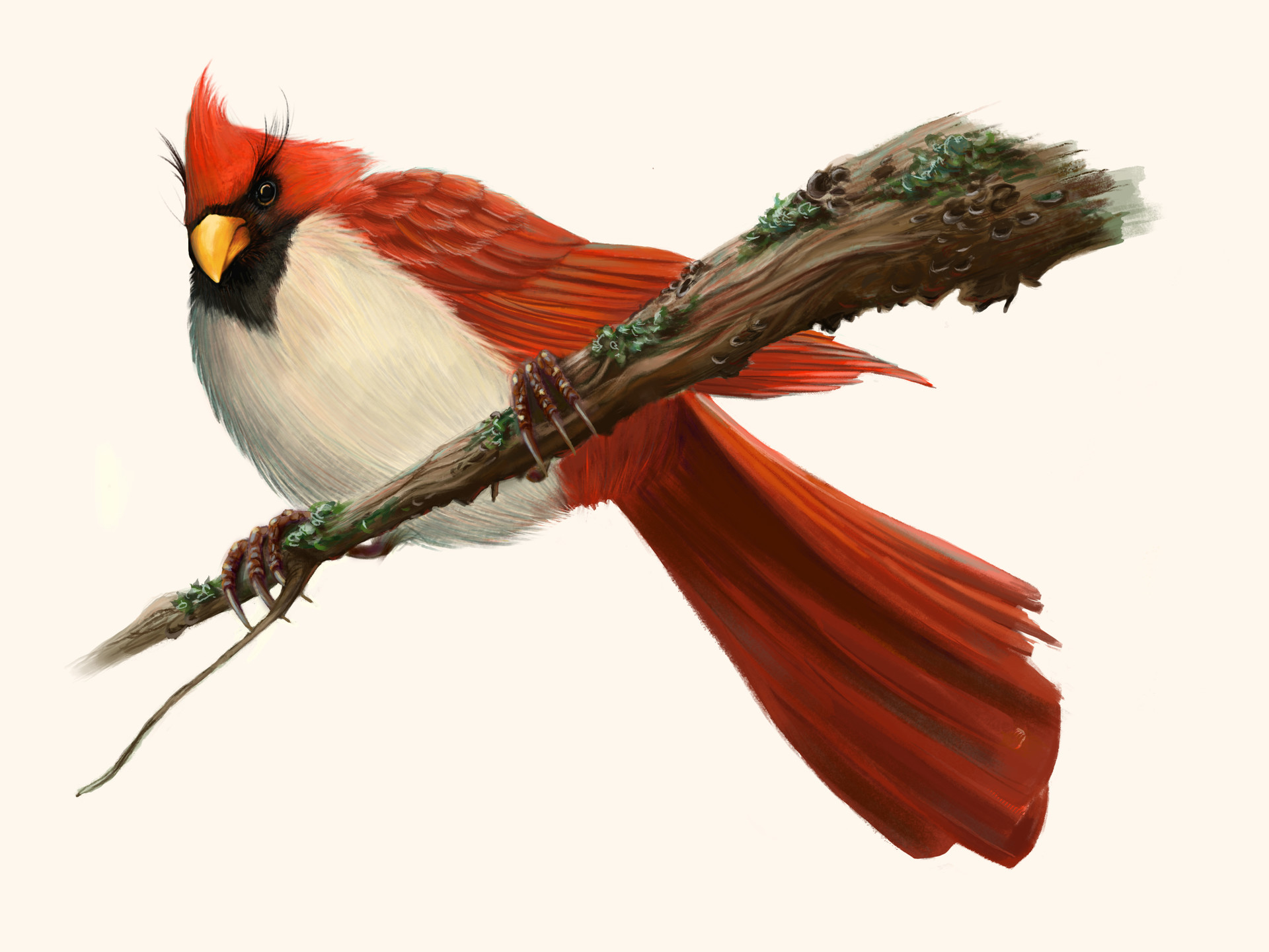 ArtStation - Angry Bird