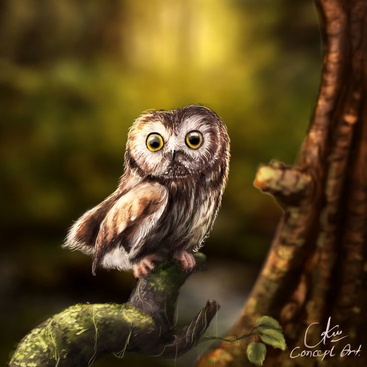 ArtStation - Owl concept art