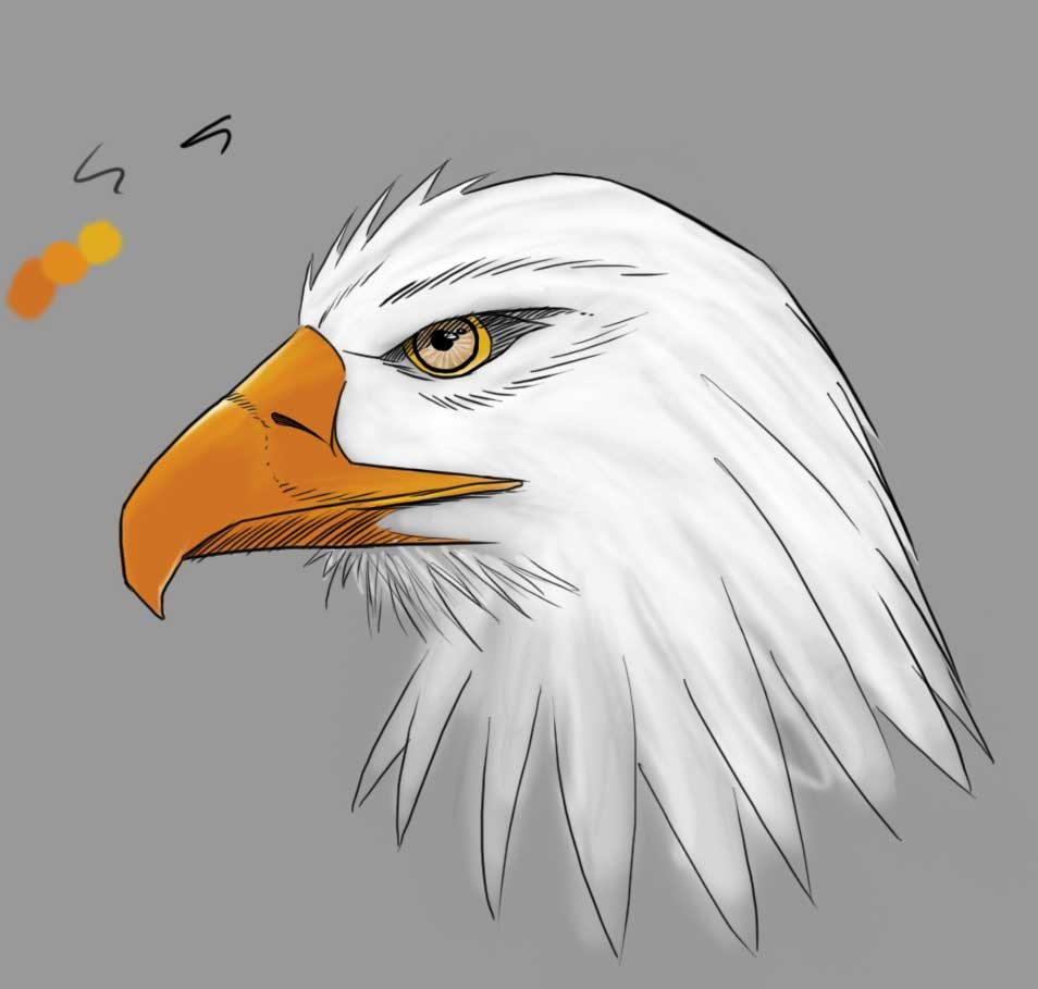ArtStation - Eagle