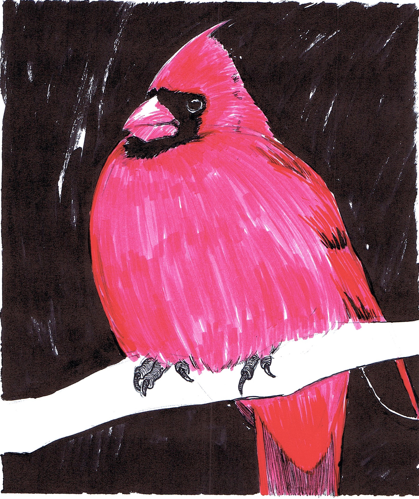 ArtStation - Cardinal