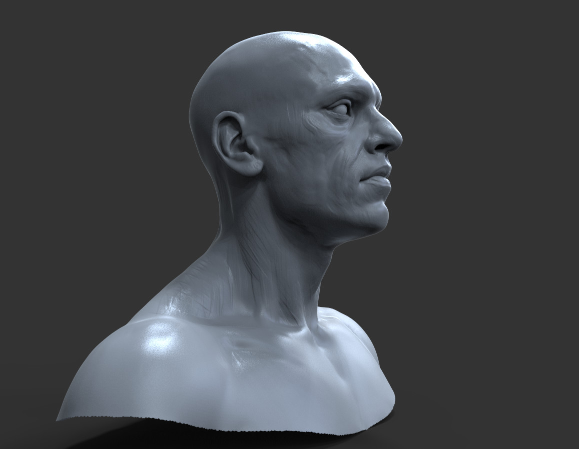 ArtStation - male head sketch