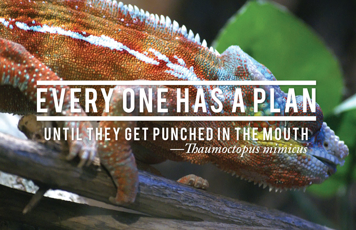 ArtStation - Motivational Lizards