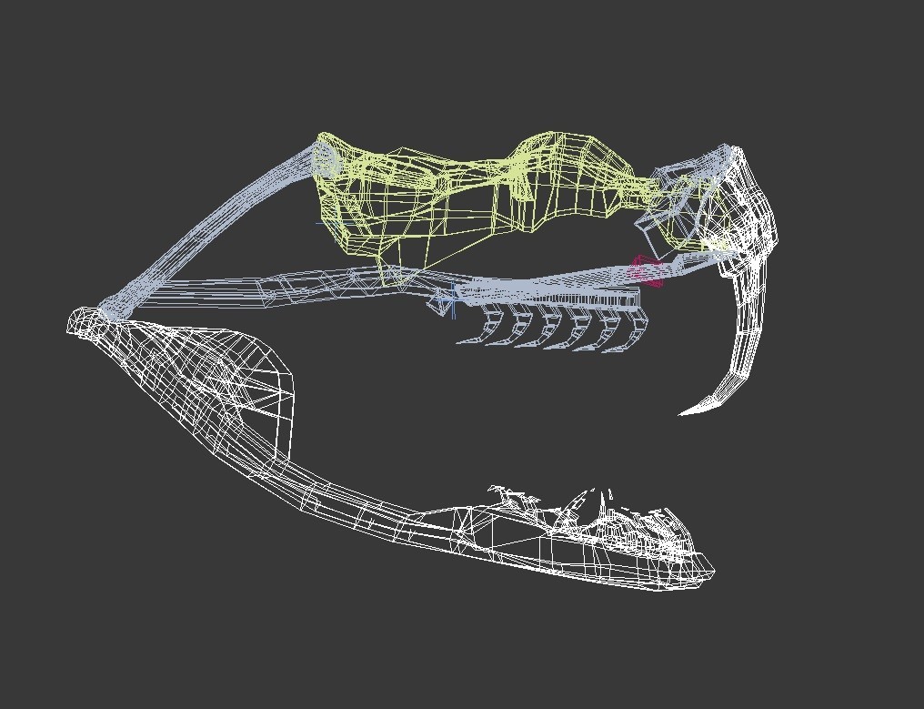 Stephan Plotnicov - The 3D model snake skeleton