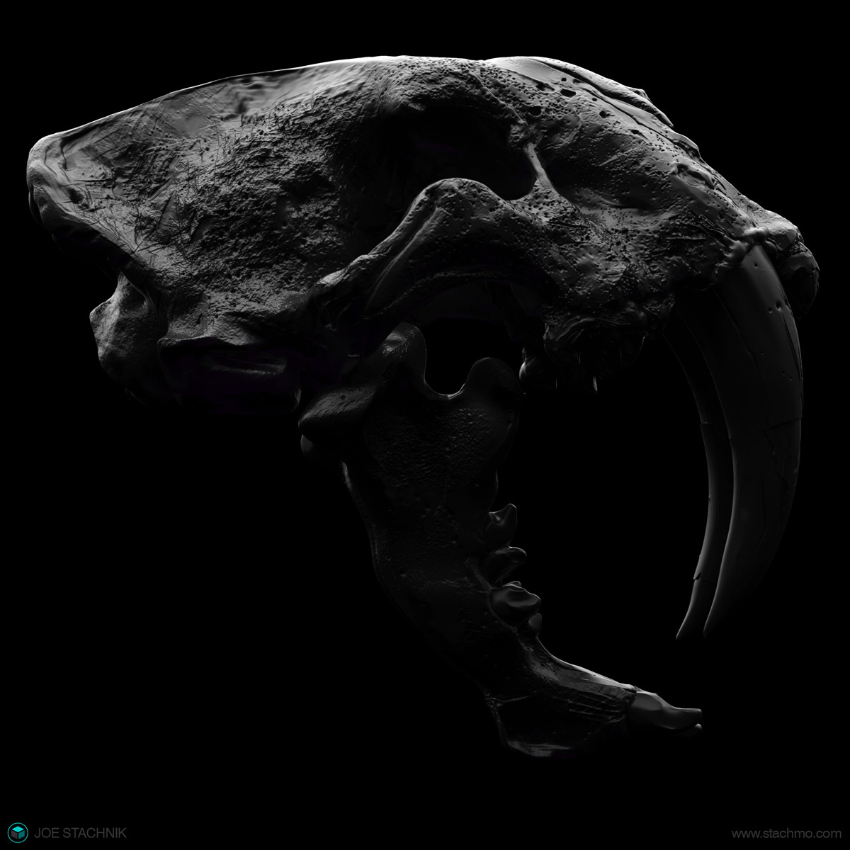 Joe Stachnik (Stachmo) - Sabertooth Skull