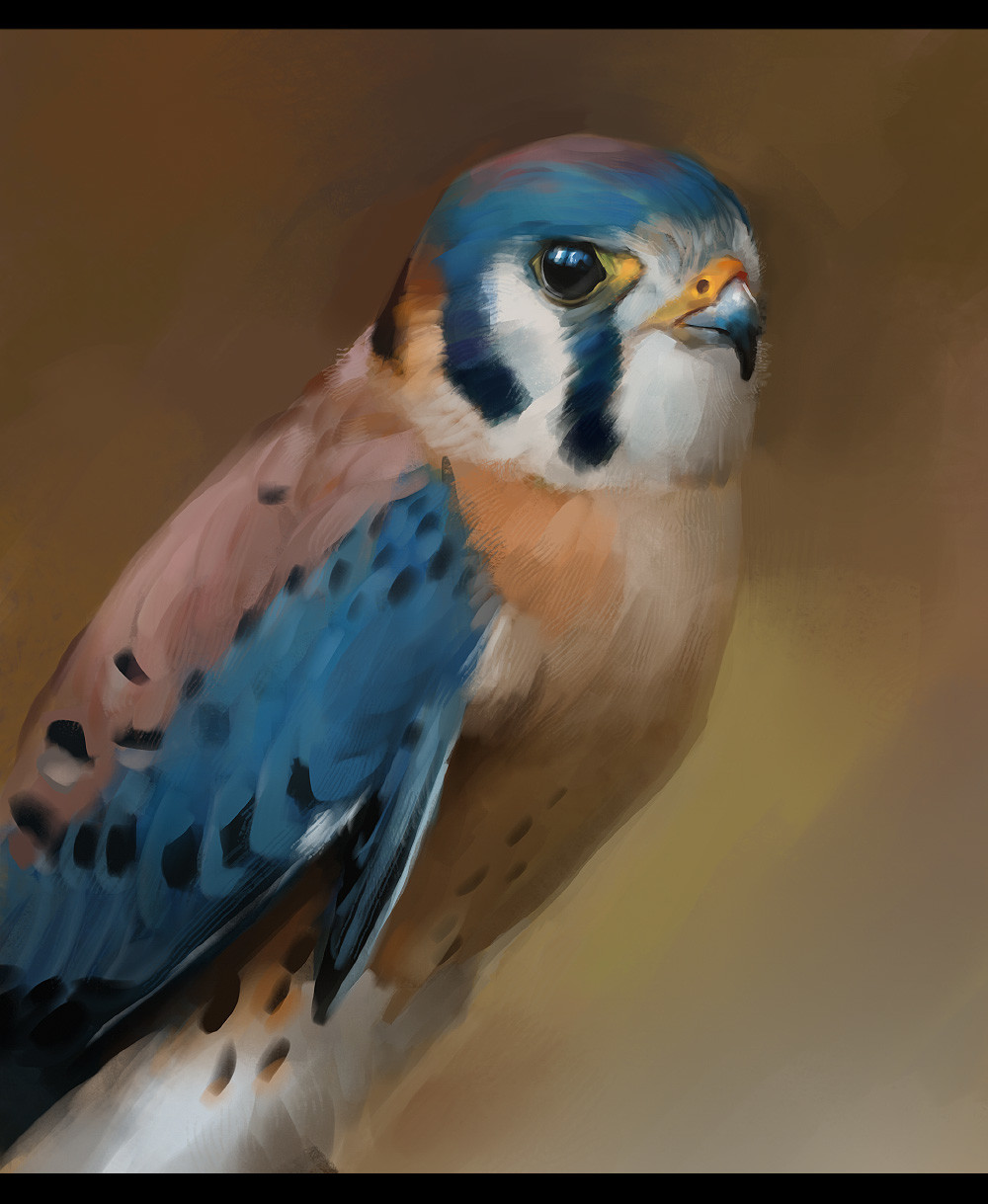 Jonathan Fletcher - 2d Studies