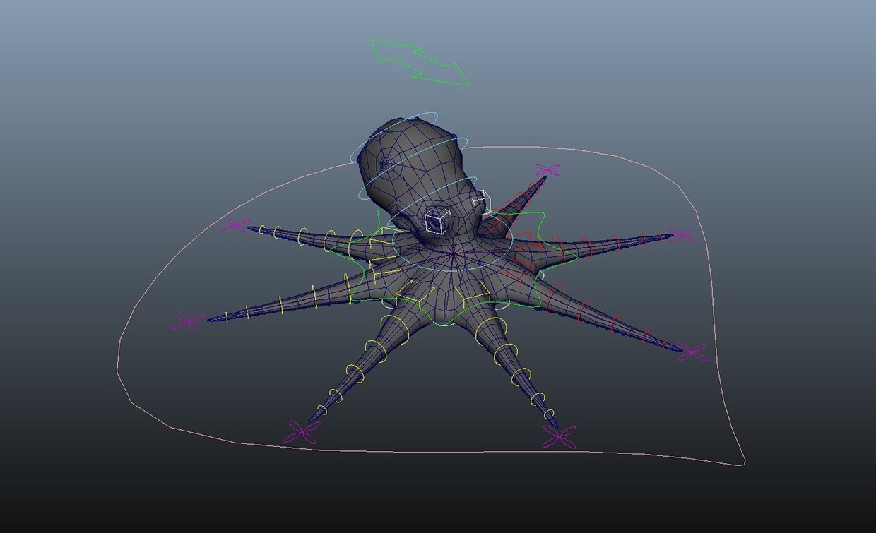 Amy Wong - Octopus Rig
