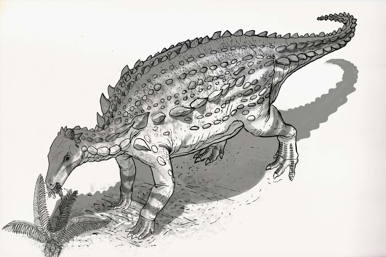 ArtStation - Draw Dinovember Day 19 Scelidosaurus