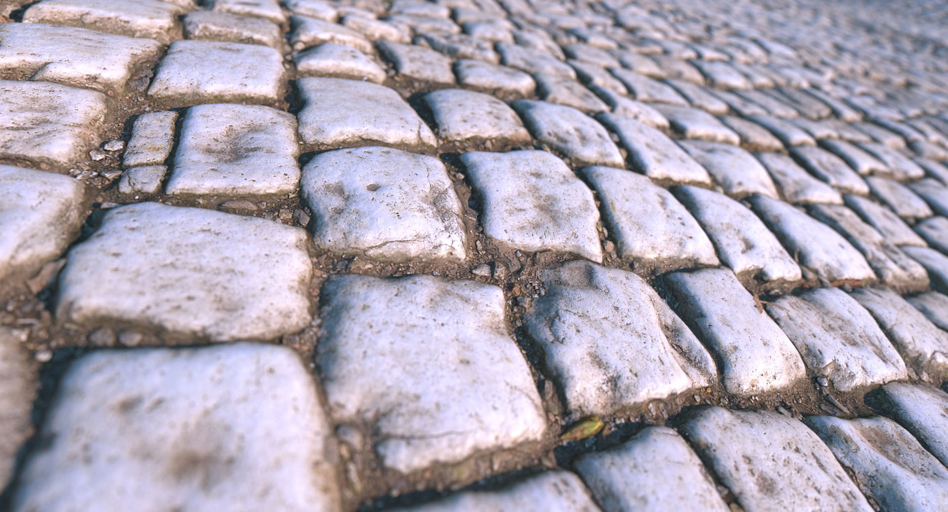 SCHINDELAR-3D - RDT - collection-two - preview