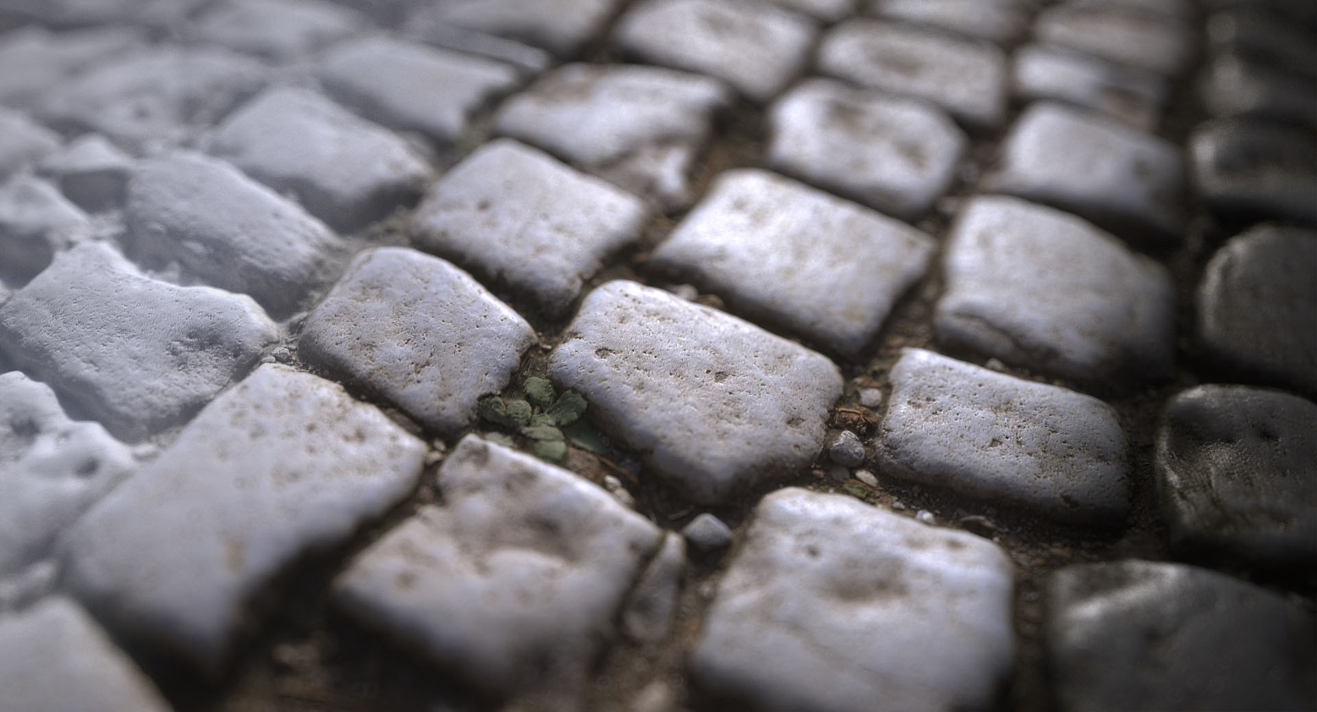 SCHINDELAR-3D - RDT - collection-two - preview