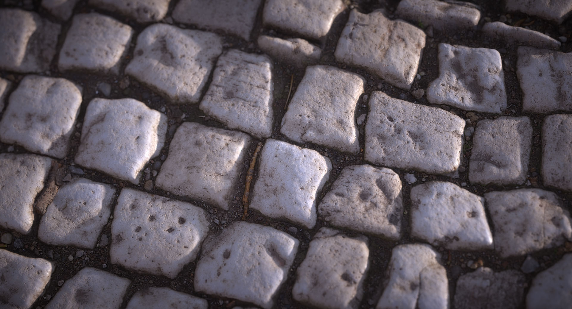 SCHINDELAR-3D - RDT - collection-two - preview