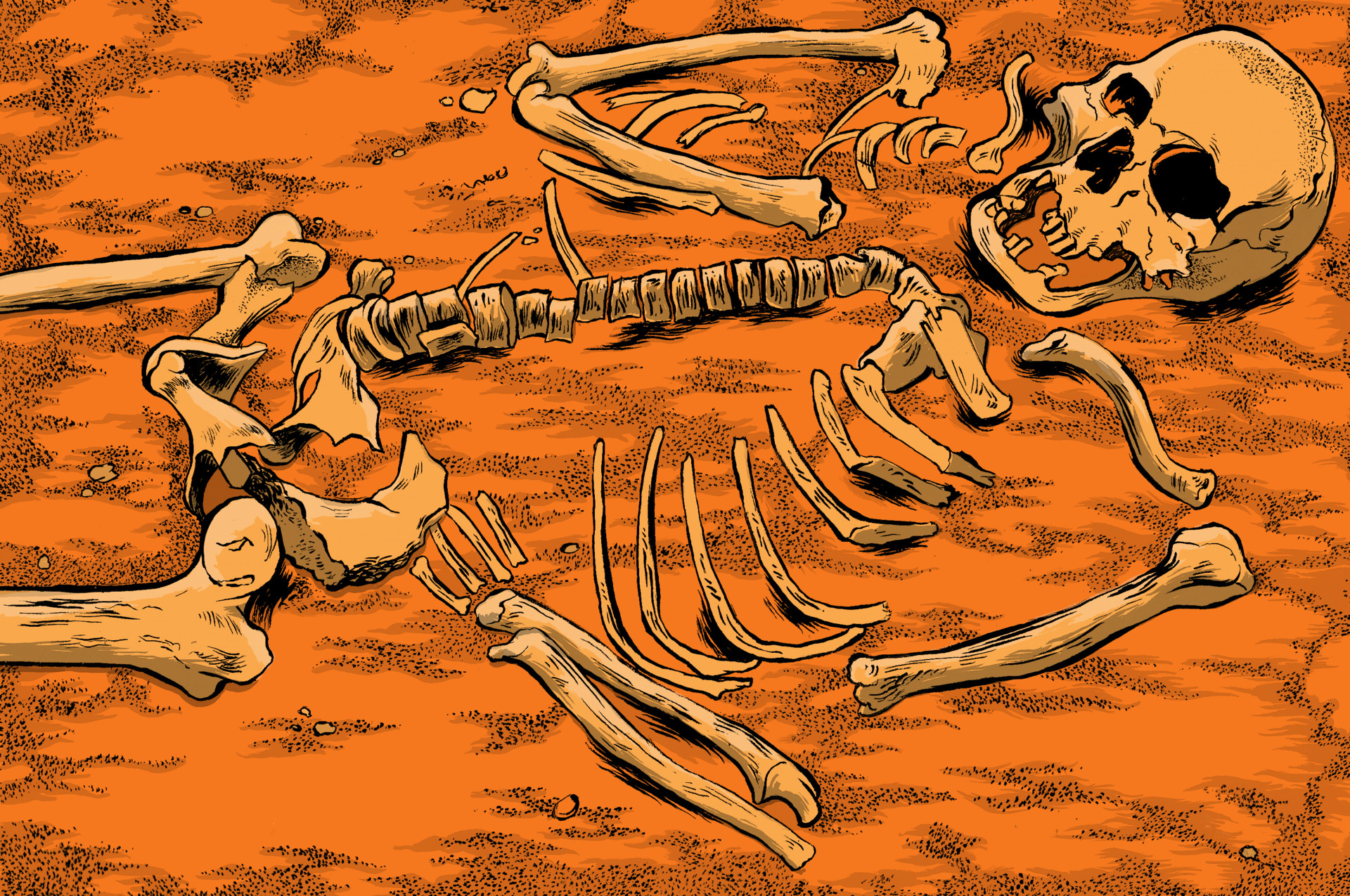 ArtStation - Skeleton