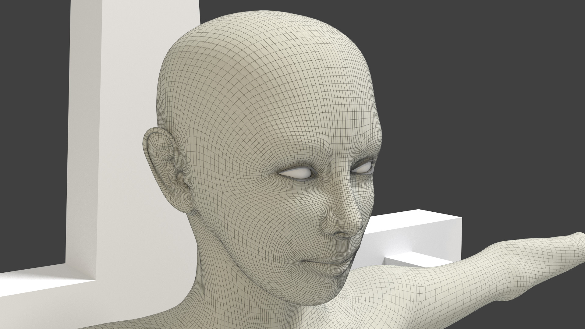 ArtStation - Character wireframe