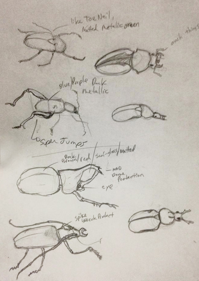Mark Grote - Studies
