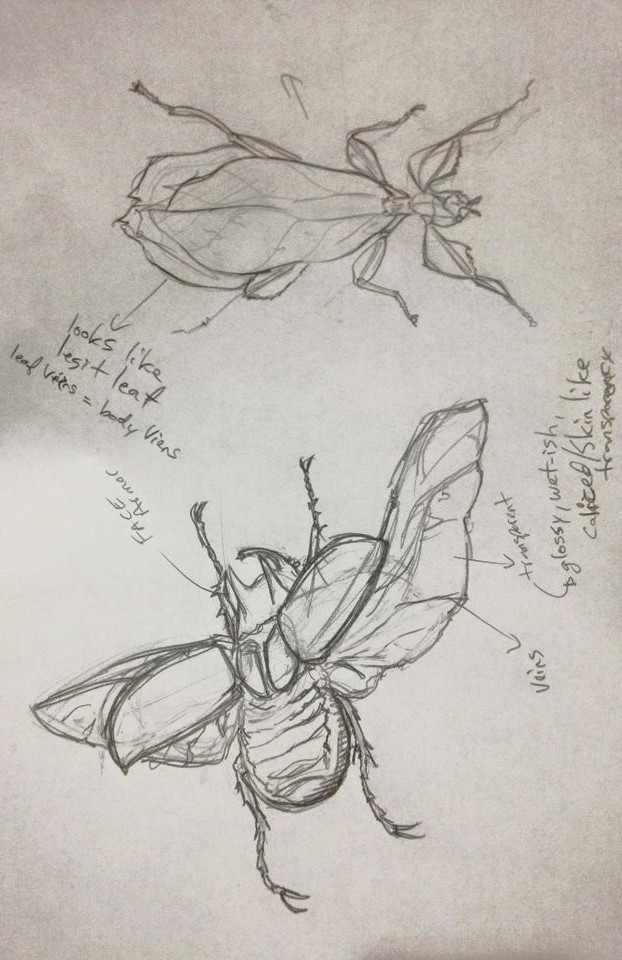 Mark Grote - Studies