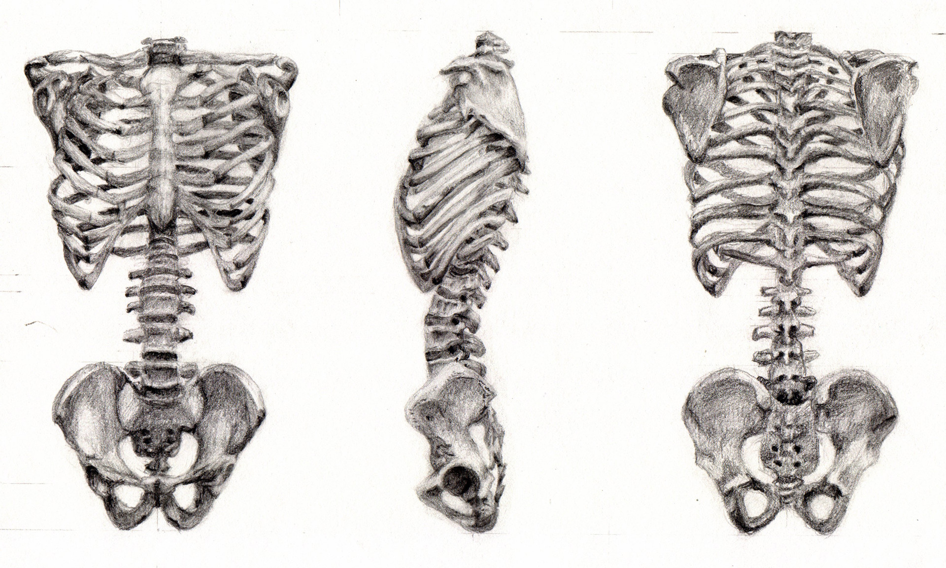 Stephen Studyvin - Sketching & drawing