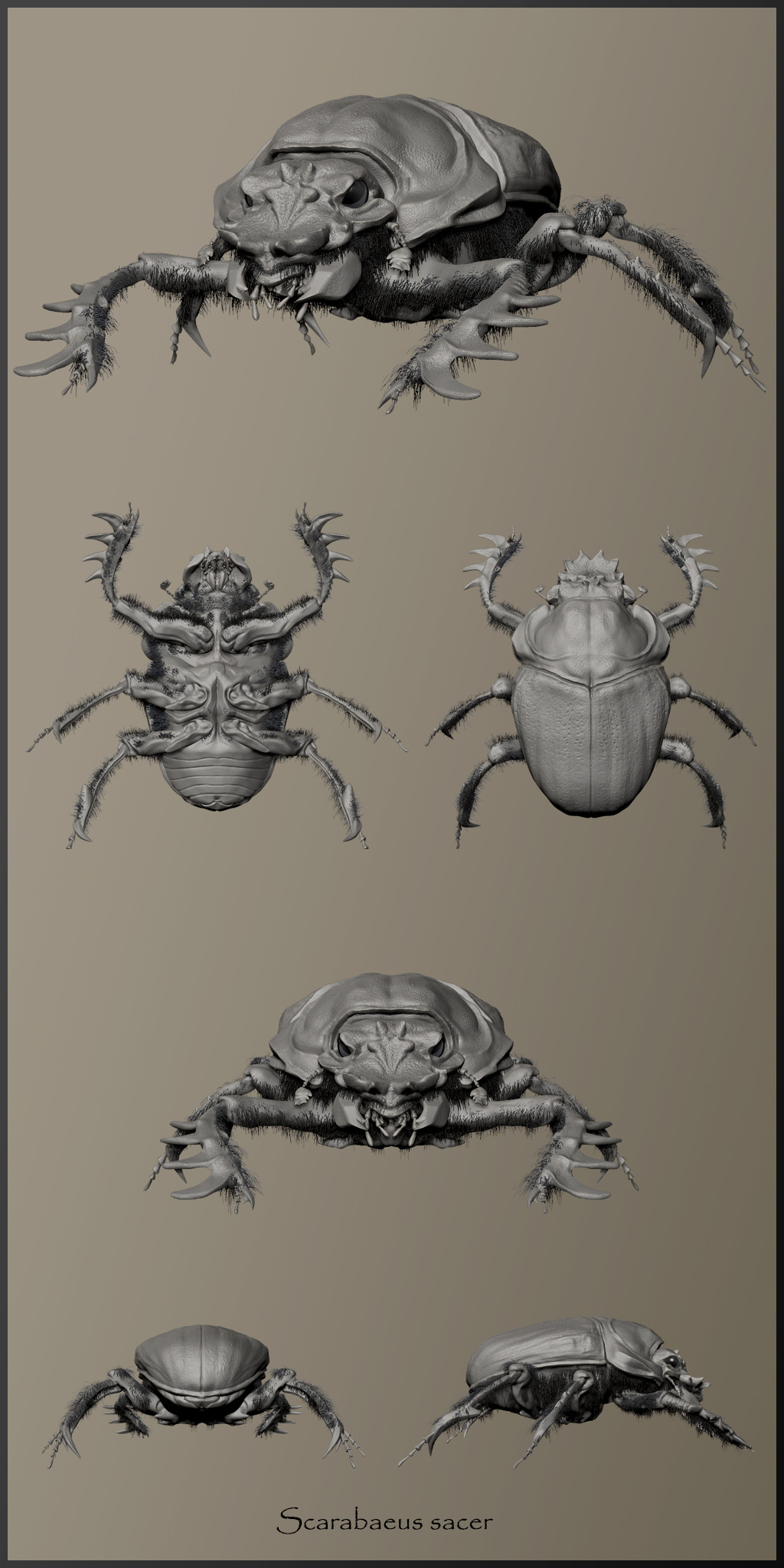 ArtStation - Scarabaeus sacer