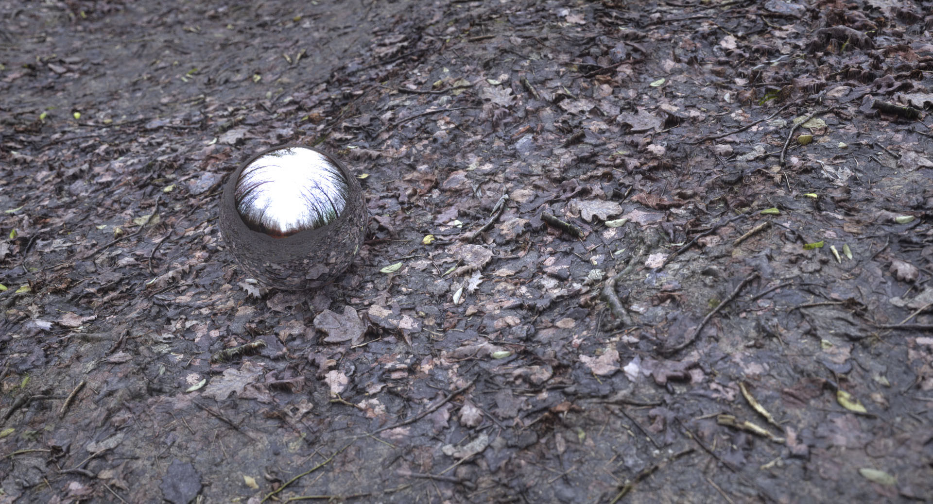 SCHINDELAR-3D - RDTexture - Muddy-forest-floor