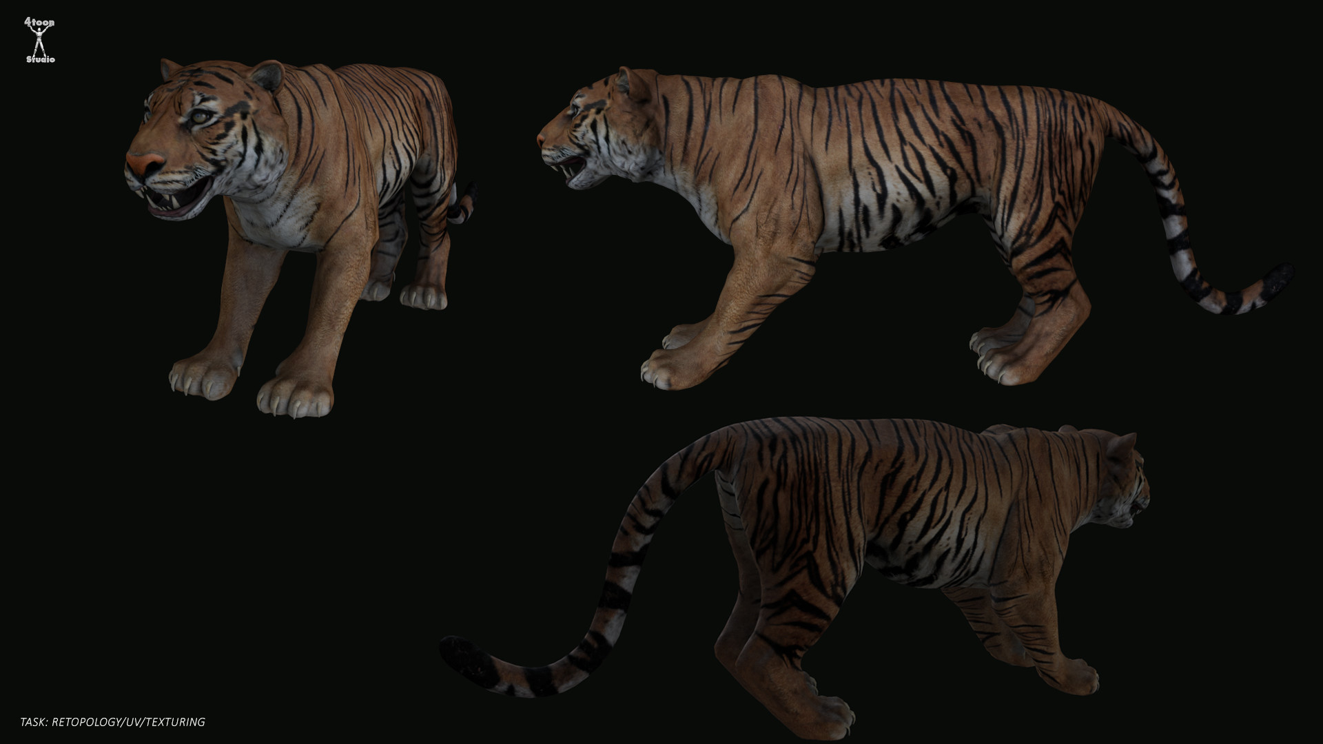 ArtStation - 4Toon Studio - Animals, Marcin Ujas