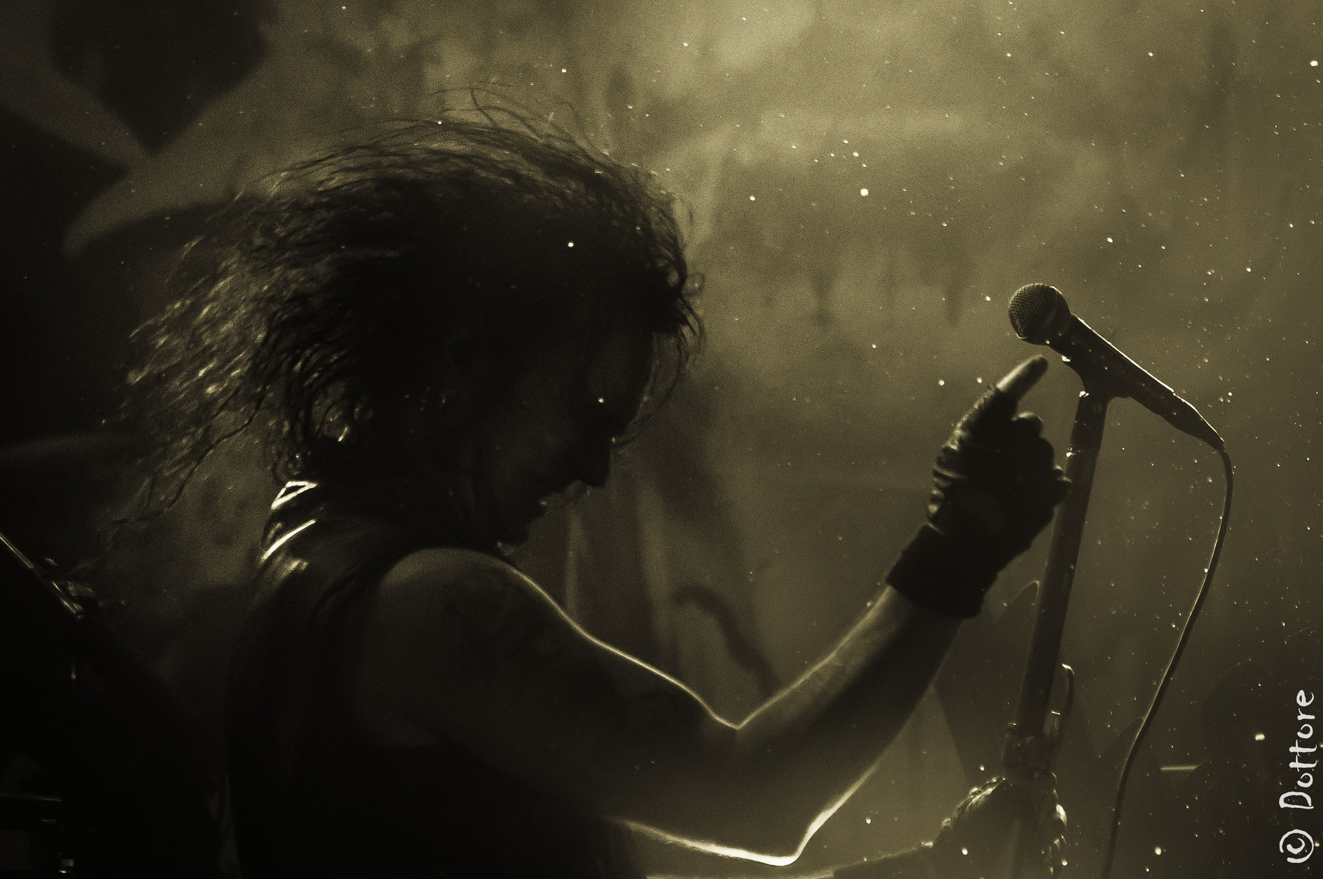 + The Haunted Dimension Studio + - 2015 - Moonspell Live in Danzig - VII