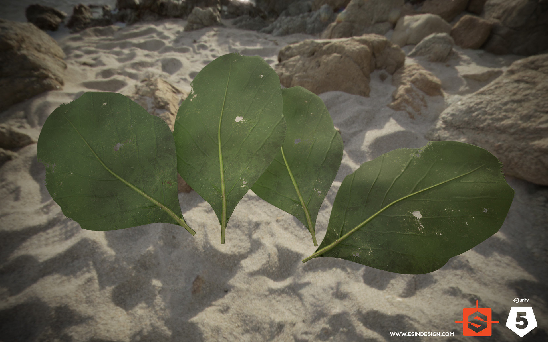 Erik Sutton - Leaf Material