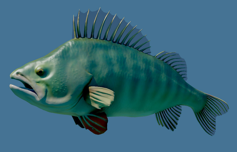 Royston - Perch Fish