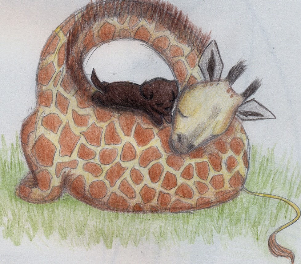 giraffe sleeping drawing
