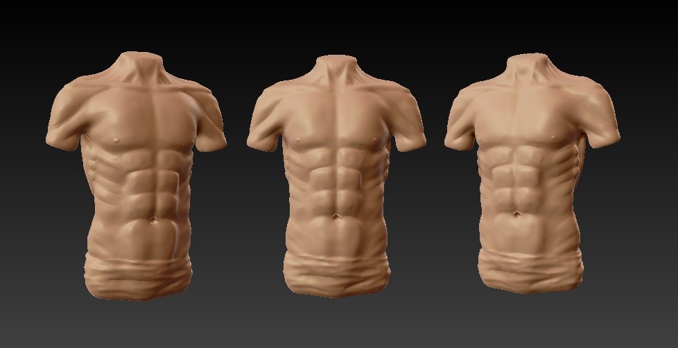 ArtStation - Torso Study