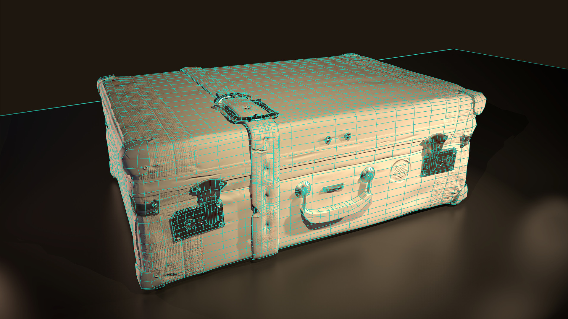 Anuva Aranee - Vintage Suitcase