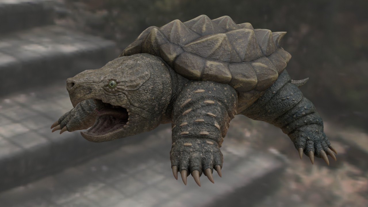 Tomas Vareika - Alligator Snapping Turtle
